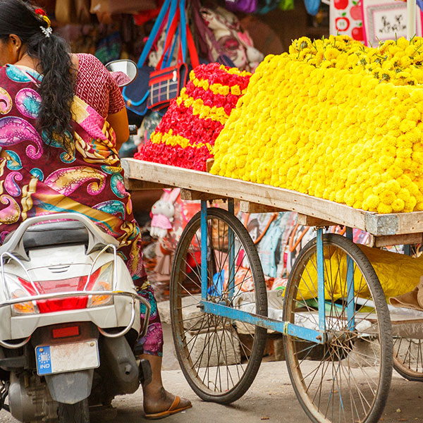 DMC Chile - dmc.inside.travel